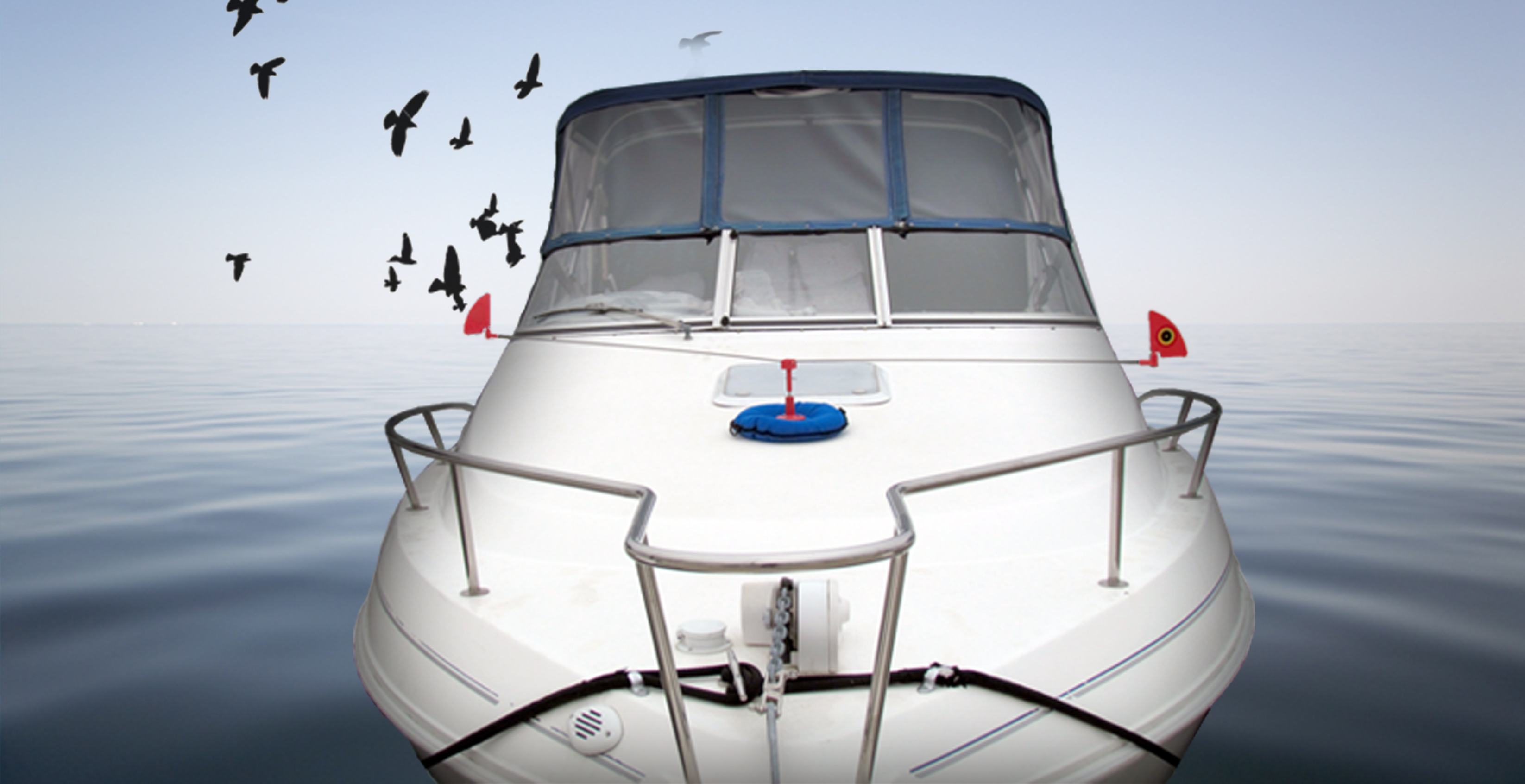 Bird B Gone Granted US Patent for its Wind-Powered Repeller 360 Bird ...
