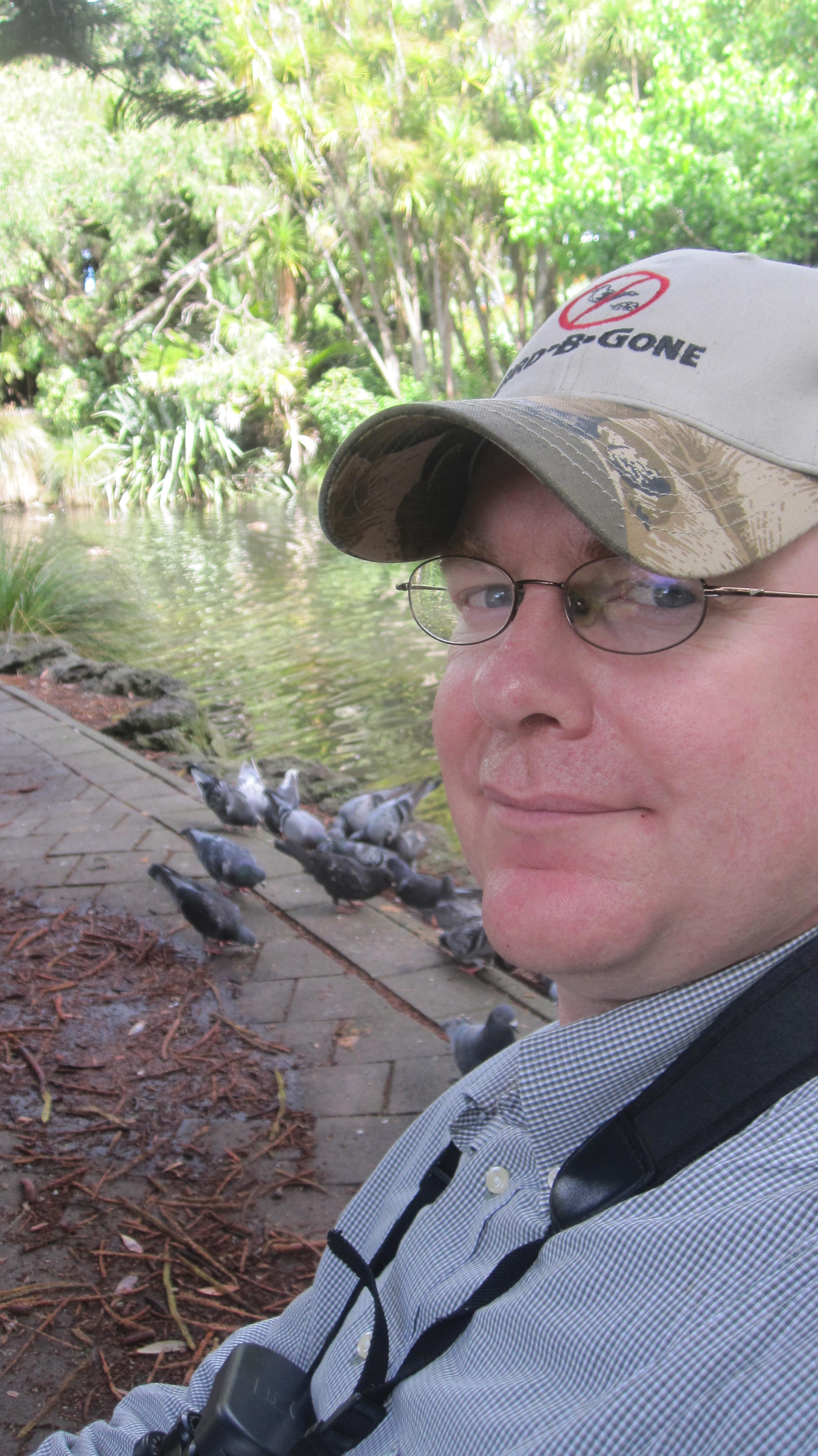 Bird-B-Gone Ornithologist Gives Advice on Urban Bird Control to ...