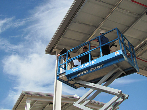 Why Choose Bird B Gone for Bird Control Products? - Bird B Gone LLC