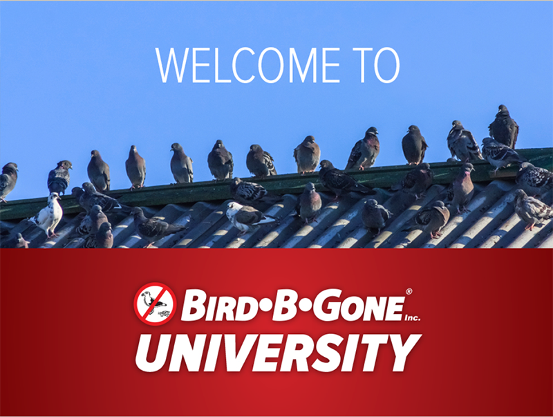Marketing Bird Control, the Key to New Customers - Bird B Gone LLC