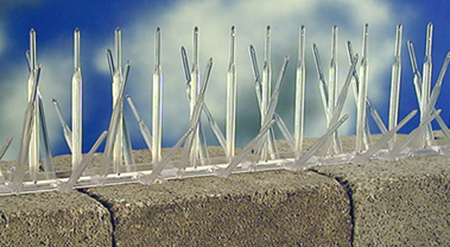 Pigeon Spikes the Ultimate in Bird Deterrents - Bird B Gone LLC