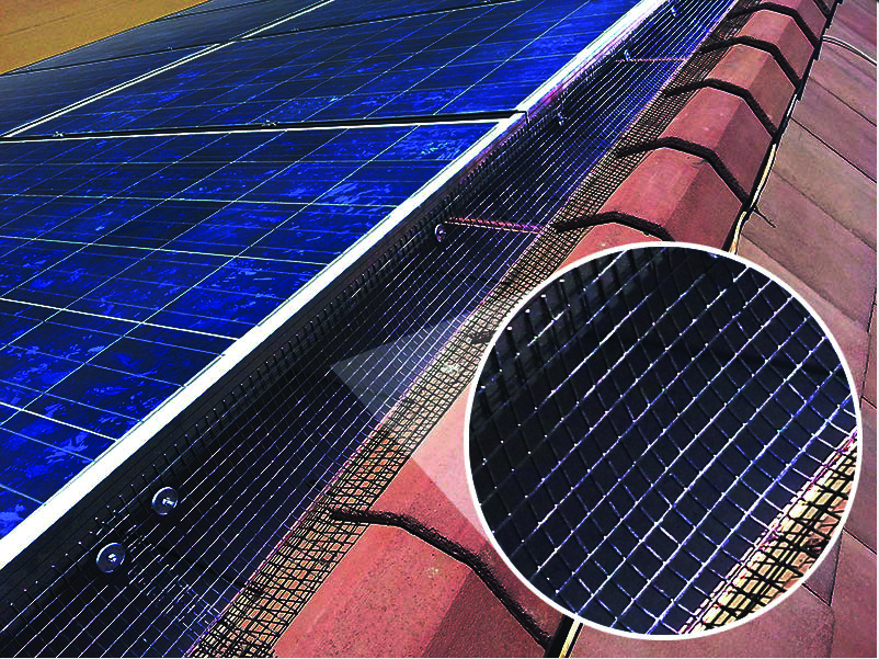 Protect your solar panel investment with bird control - Bird B Gone LLC
