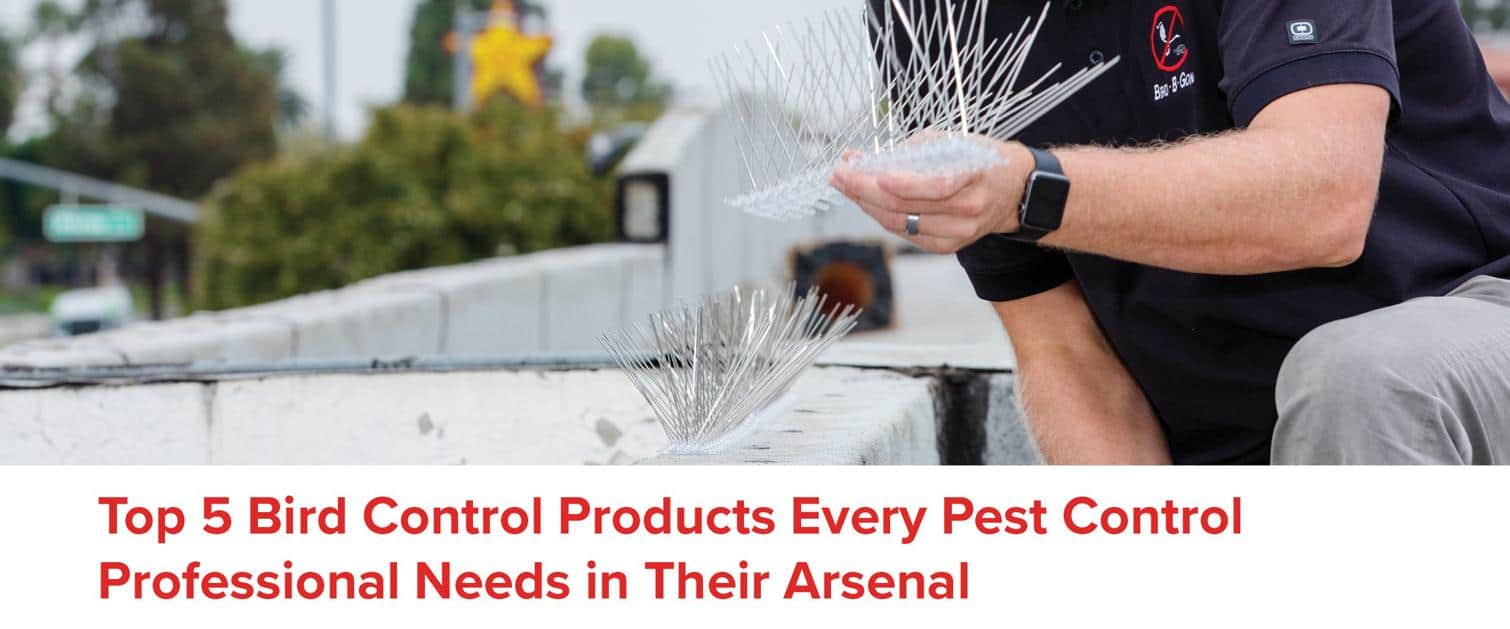 Top 5 Bird Control Products Pest Control Professionals Need - Bird B ...