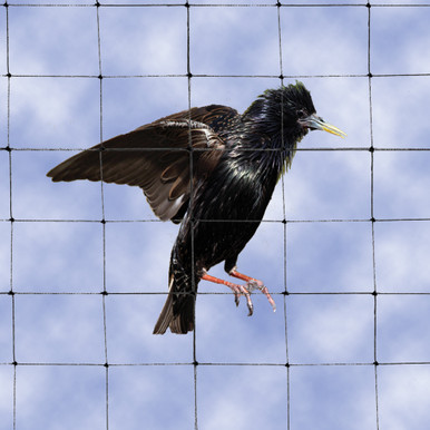 Bird Netting 1-1/8" Mesh | Keep Birds Away | Bird B Gone