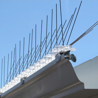 Gutter Bird Spikes | Stainless Steel Bird Spikes