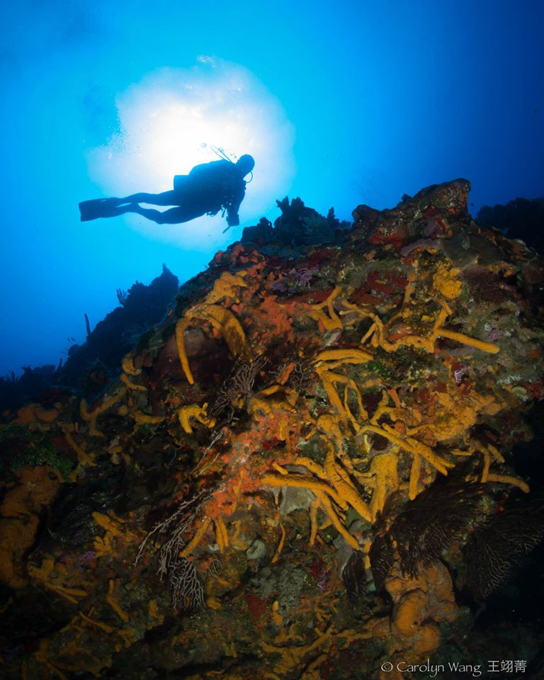 TDI Advanced Nitrox Diver Certification Course - Includes eLearning in ...