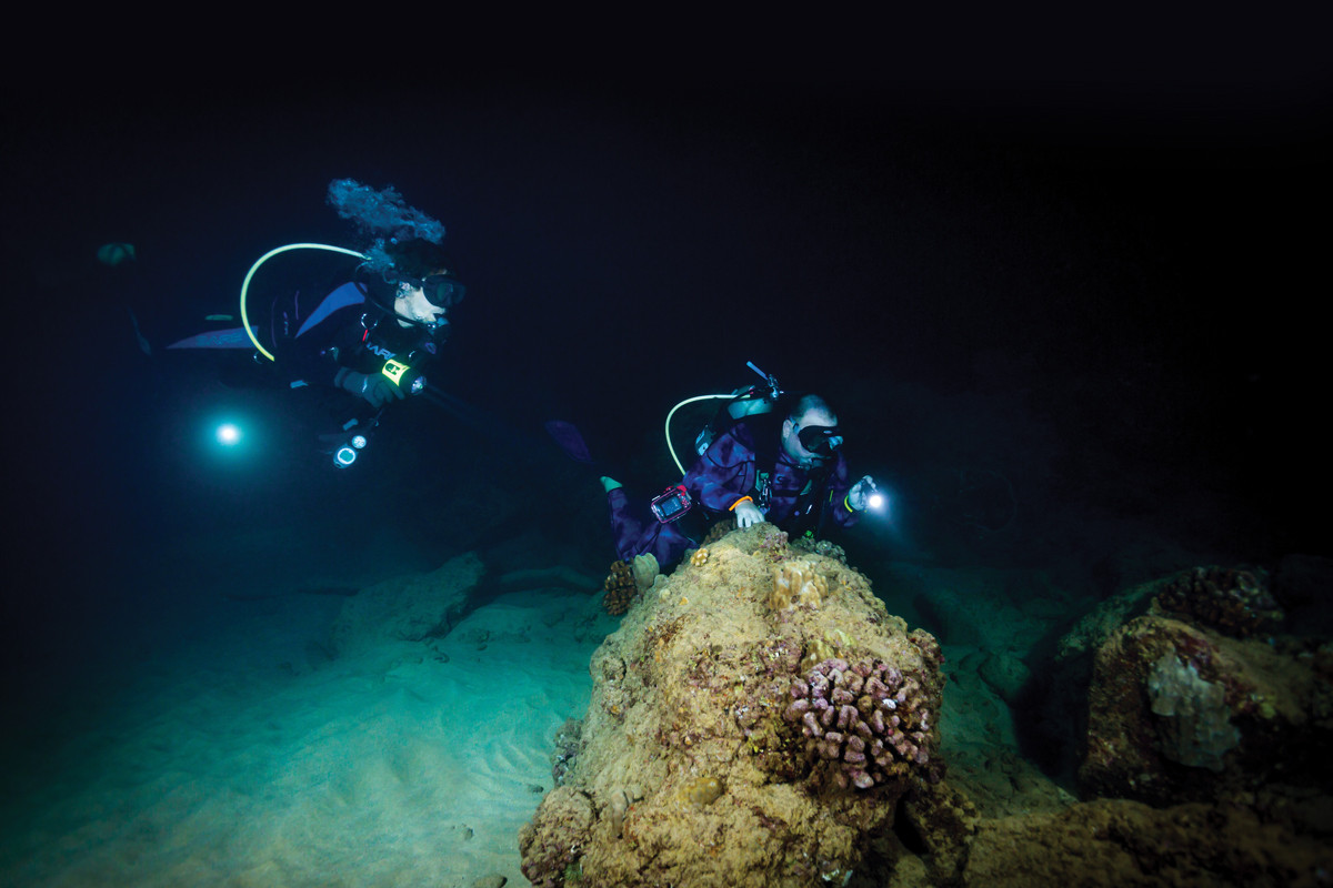 PADI Night Diver Certification in Los Angeles:: PADI Scuba Diver Course with PADI eLeaning Code