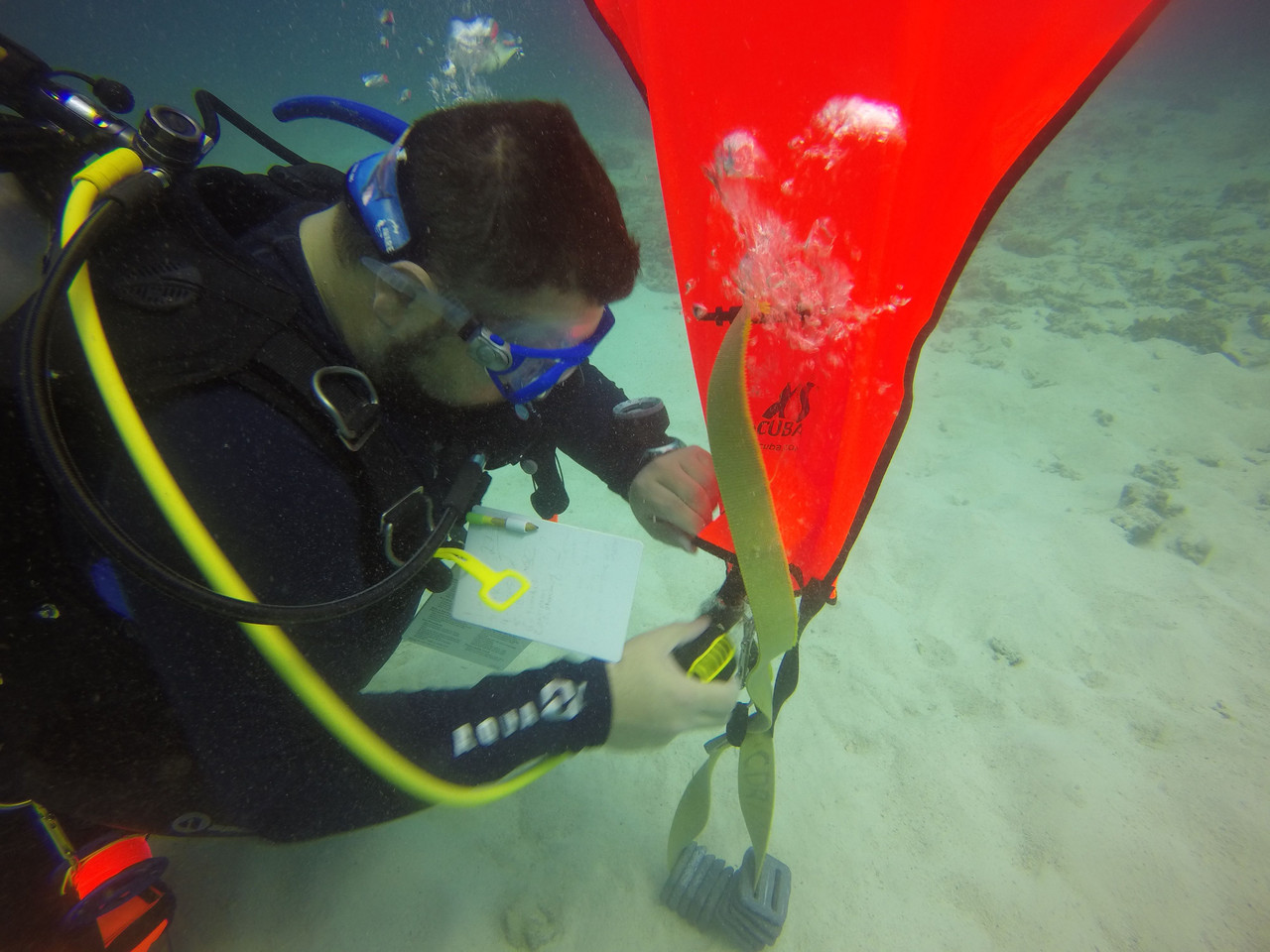 Search and Recovery Specialty Diver Certification in Los Angeles ...