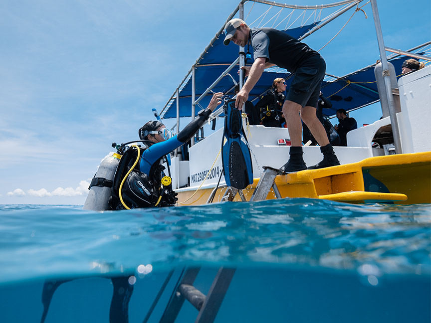 Advanced Diver Certification Course with Island Boat Ticket, Rentals ...