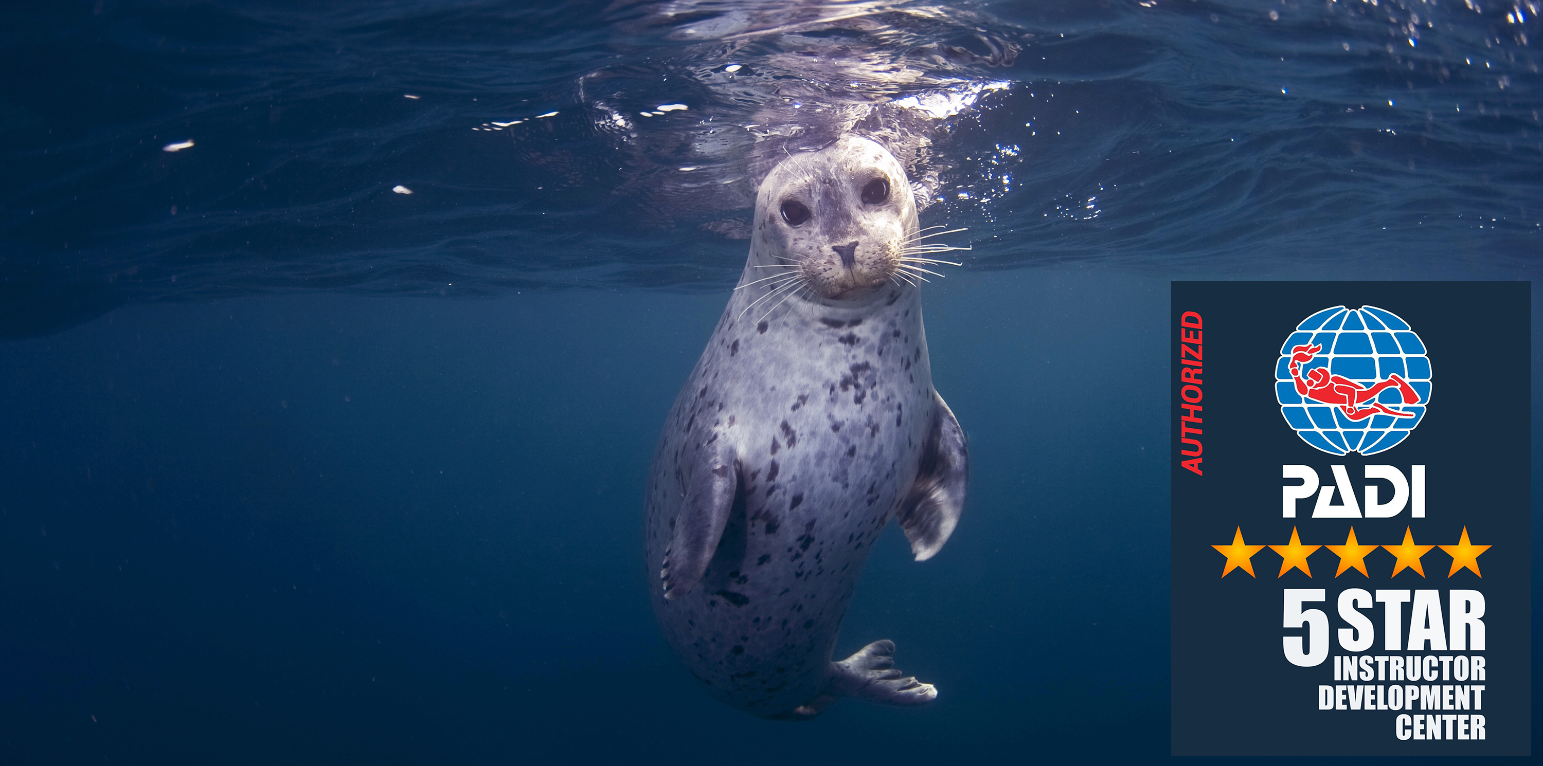 DiveCenter.com is Southern California's Top Rated Scuba Diving HQ ...