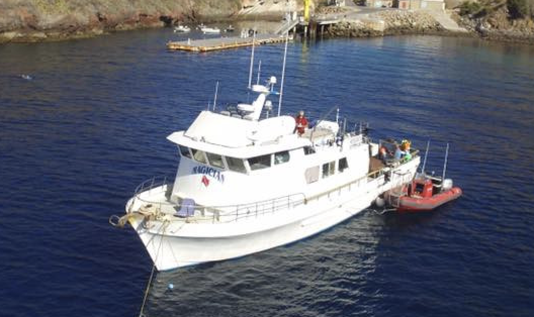 California Scuba Dive Boat Charter Companies: Trip to Ca's Channel Islands