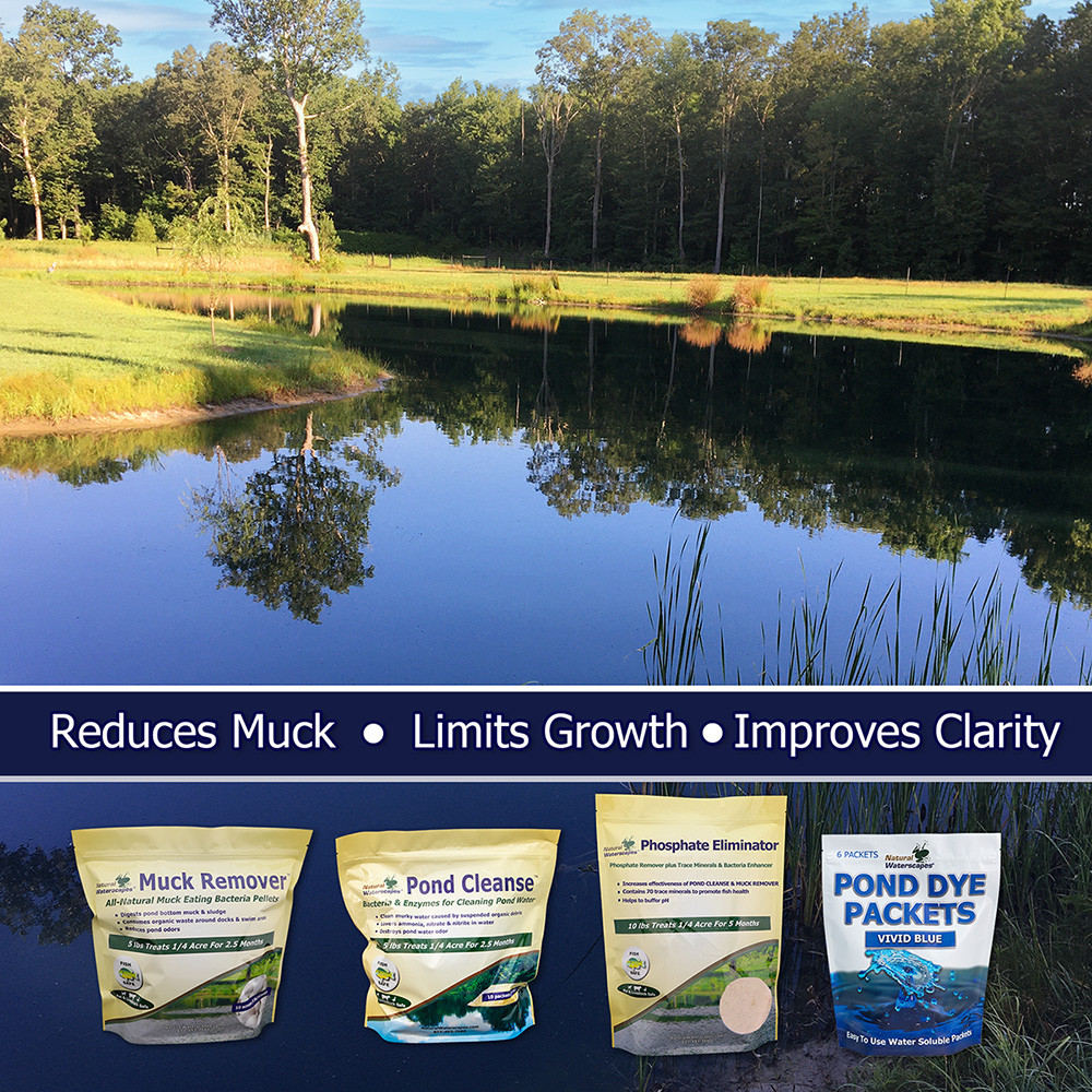 Clean Pond Maintenance Kit for 1/2 acre Pond