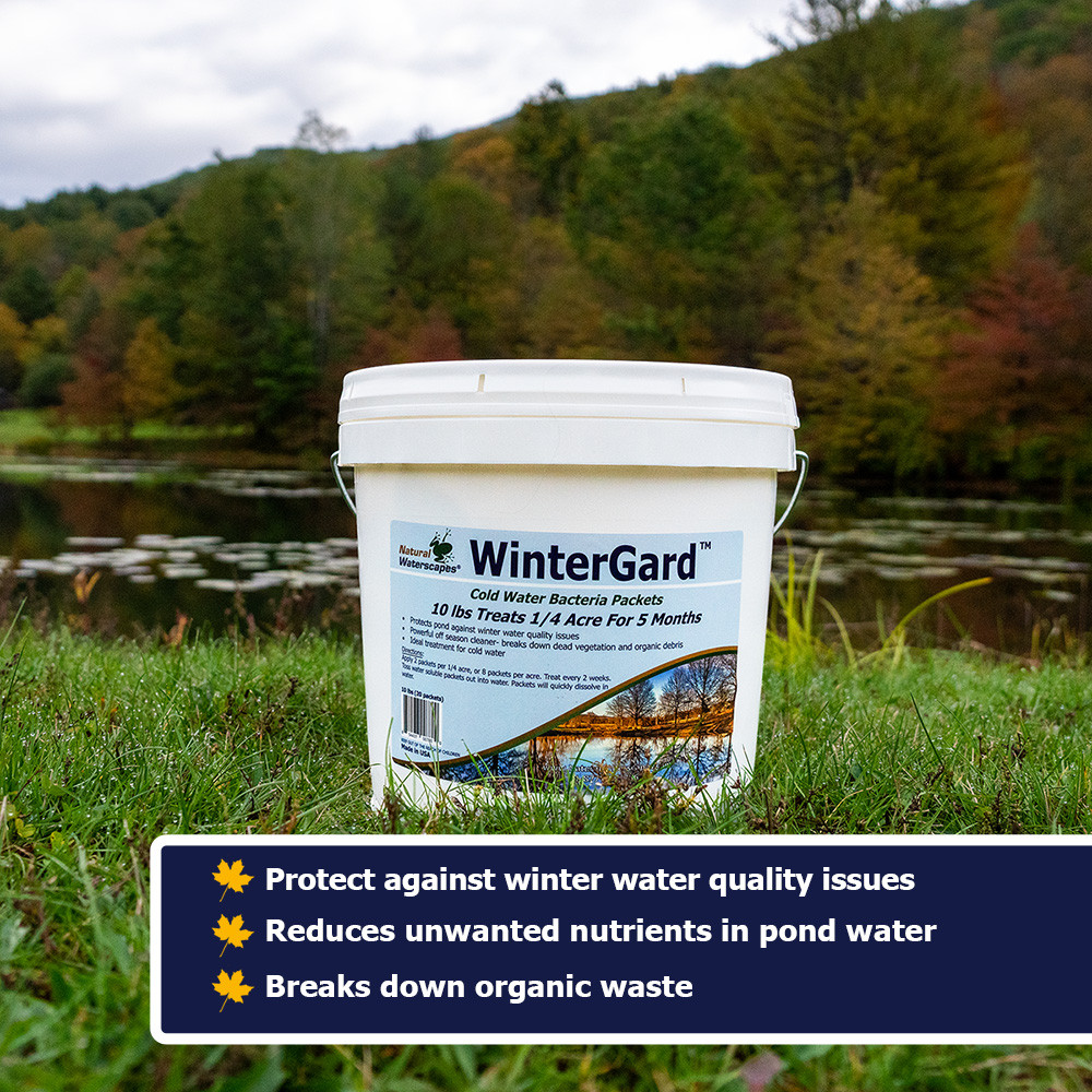 WinterGard Cold Water Bacteria 10 lb for Cold Weather Pond Protection