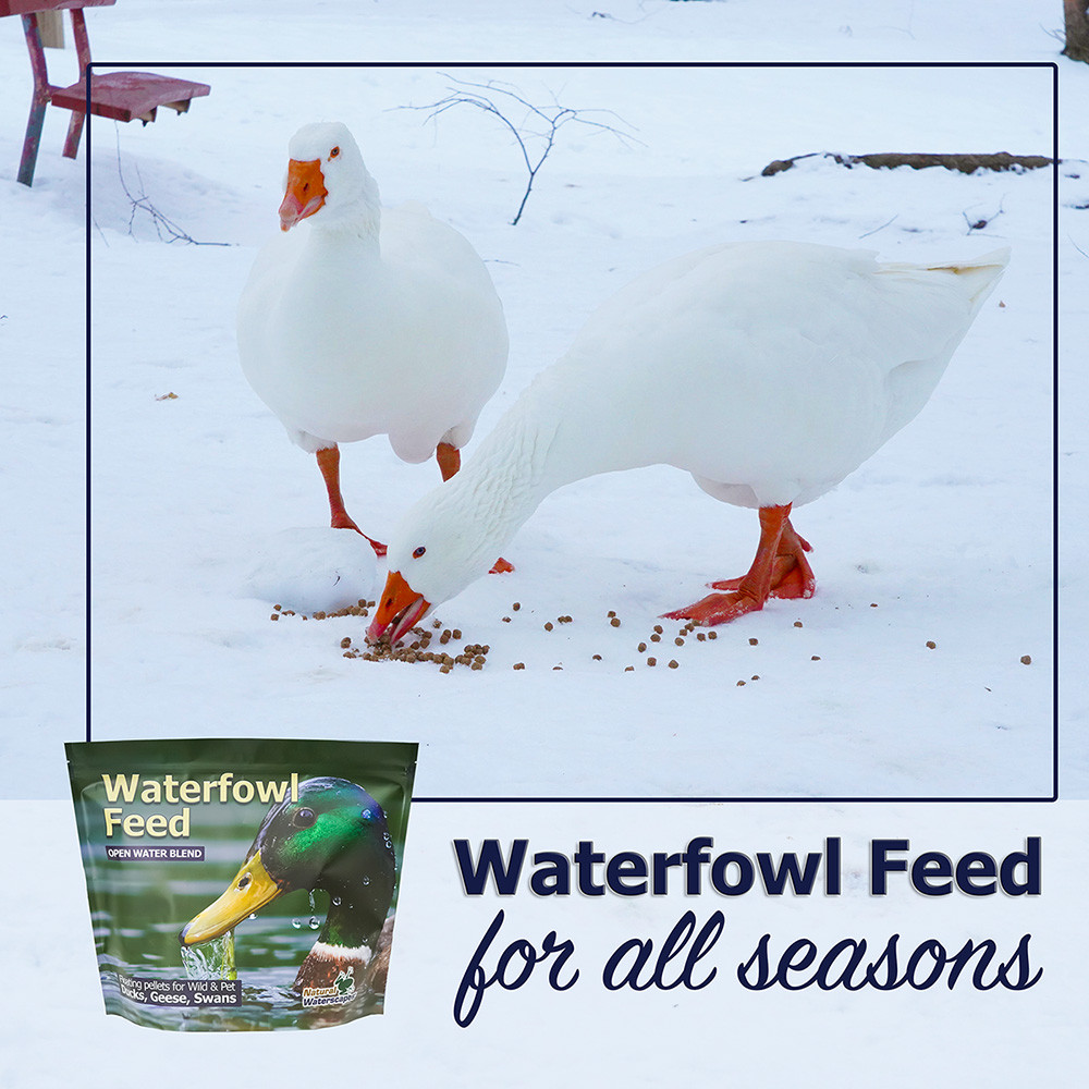 Waterfowl Feed Floating Duck Food 20 lb