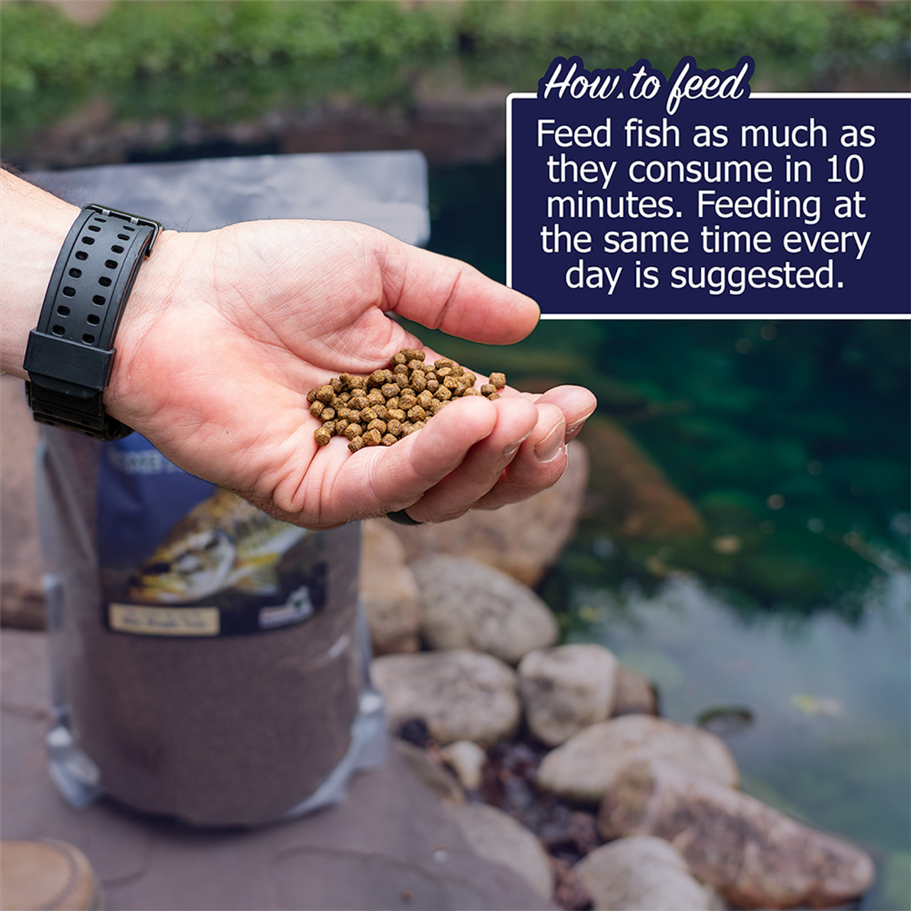 Bulk Fish Food 1 ton Bass Food