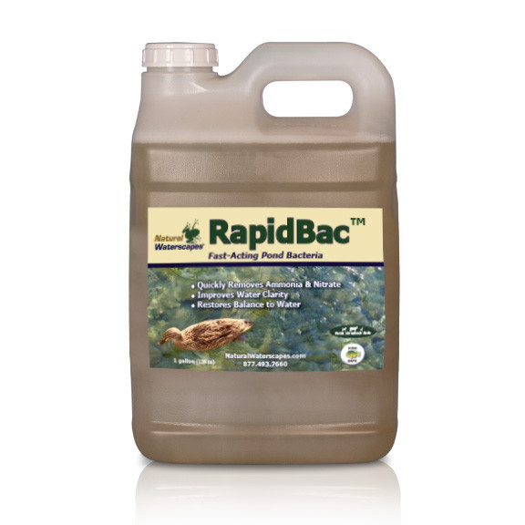 RapidBac Pond Bacteria 1 Gallon