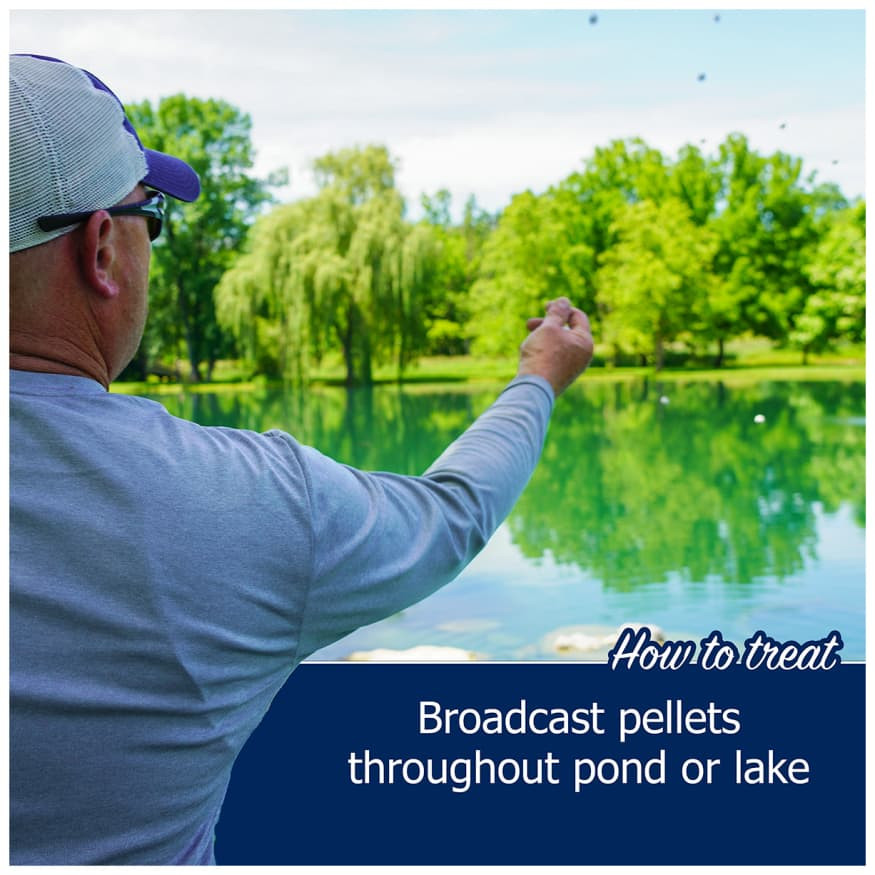 Muck Remover Pellets for Pond and Lake Muck Removal 10 lb