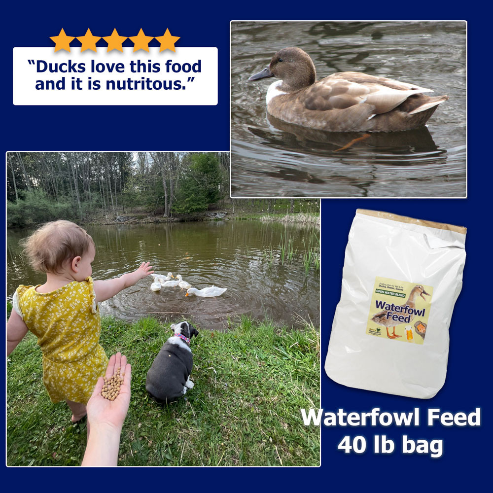Waterfowl Feed For Ducks and Geese