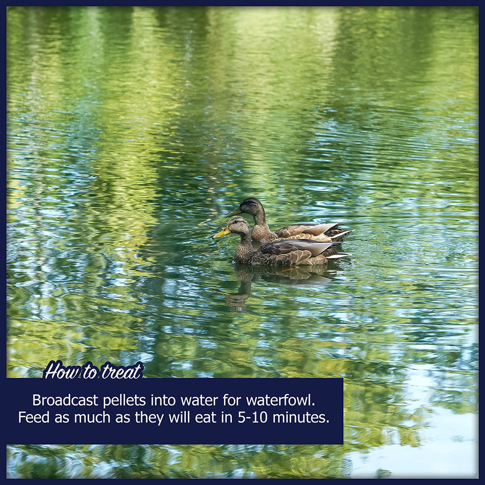 Waterfowl Feed Floating Duck Food 5 lb