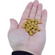 Waterfowl Feed Floating Duck Food 20 lb