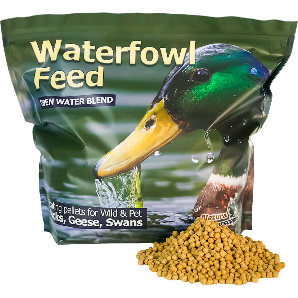 Waterfowl Feed For Ducks and Geese