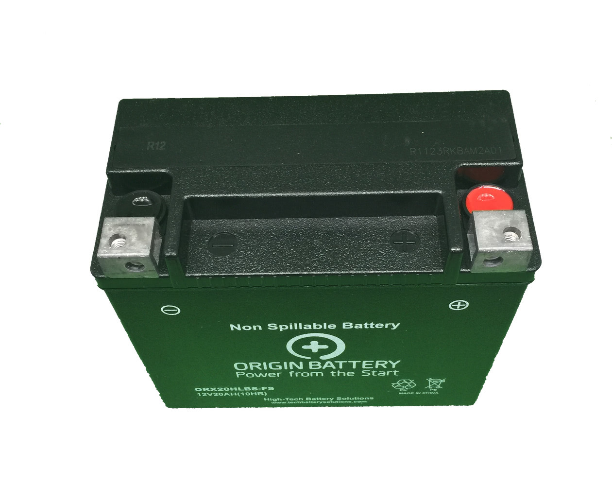 Big Dog All Models Battery Replacement (All Years)