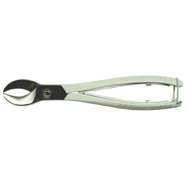 Keystone Plaster Nippers, Stainless Steel - The Dental Market U.S.