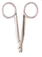 3M ESPE 3M Curved Festooning Crown and Collar Scissors - The Dental ...