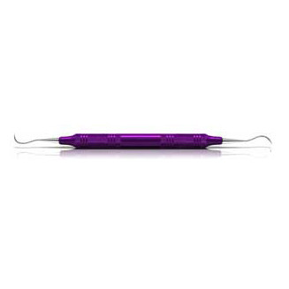 American Eagle #H6/7 Scaler with 3/8' EagleLite Resin Purple Handle ...
