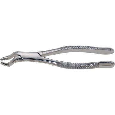 Stainless Steel Extraction Forceps #53L, Straight Handle - The Dental ...