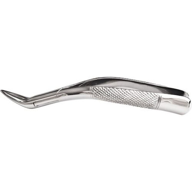 Stainless Steel Extraction Forceps #69, Curved Handle - The Dental ...