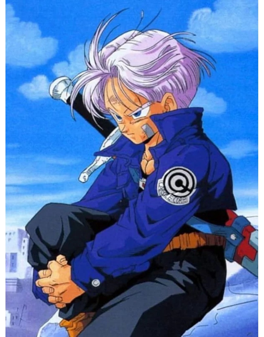 Dragon Ball Z Trunks Jacket
