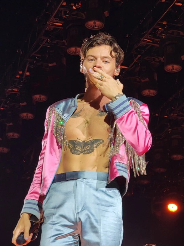 Harry Styles Pink Jacket