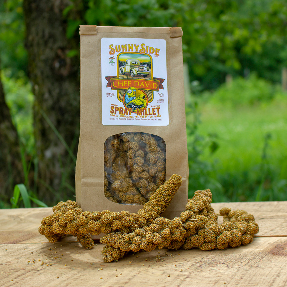 Bird - Front Porch Pets - Wholesale