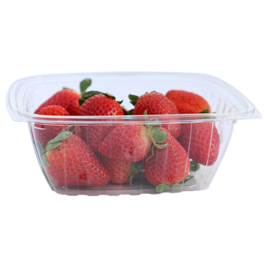 32 oz Rectangular Deli Container, Clear PLA - World Centric