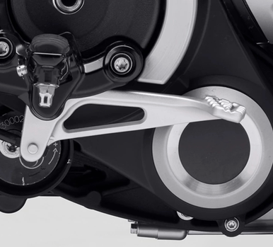 LiveWire Rear Brake Pedal Kit