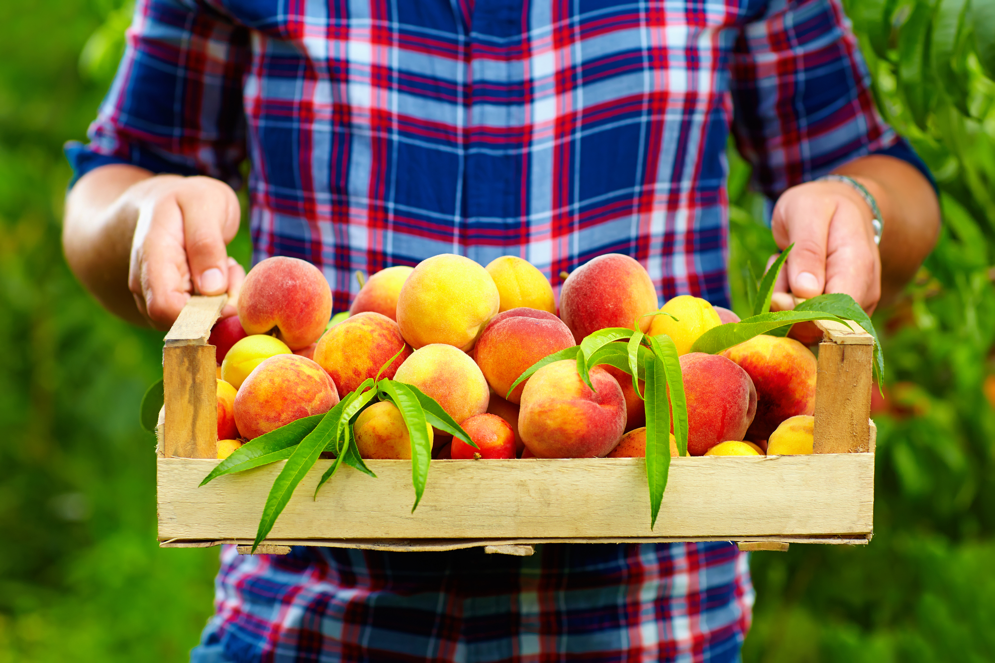 Beginner’s Guide on How To Ship Food - Mid Atlantic Packaging