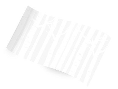 20x30 White Birch on Sheer Tissue Paper