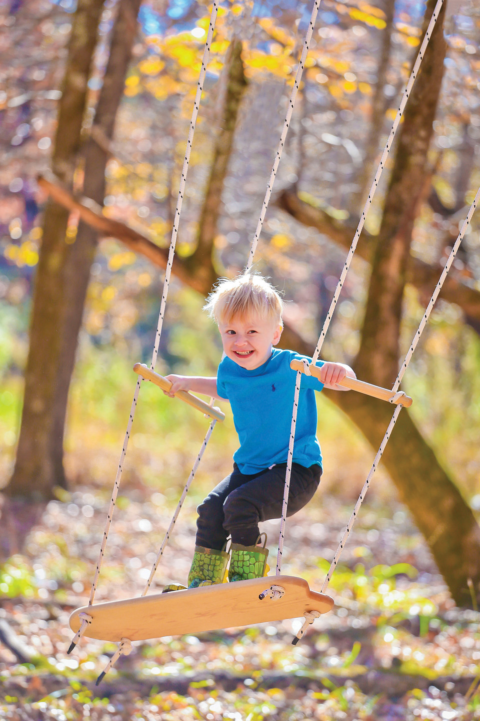 Air Surfer Swing | Adventure Parks