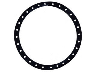 50538 - BOSS 25T coalescing tank gasket - H2O Webstore