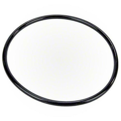 Pentair Whisperflo Pump Lid O-Ring (OEM)