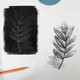 Monoprinting: A Guide for Beginners - Artway