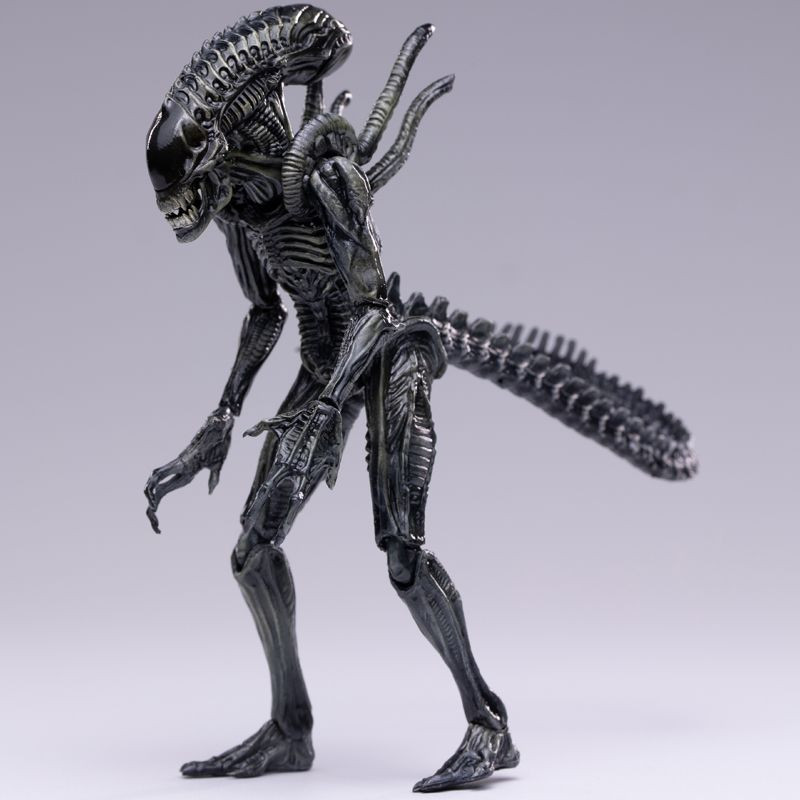 AVPR XENO WARRIOR PX 1/18 SCALE FIGURE - Graphic