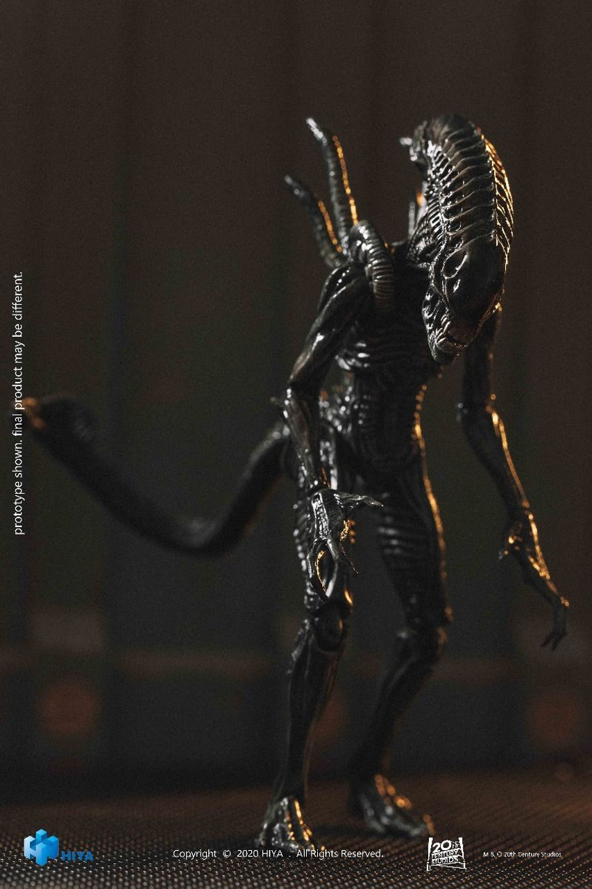 AVPR XENO WARRIOR PX 1/18 SCALE FIGURE - Graphic