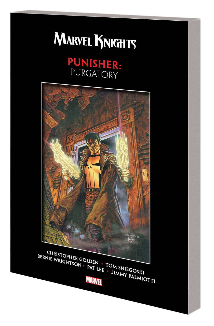 MARVEL KNIGHTS PUNISHER TP PURGATORY - Graphic
