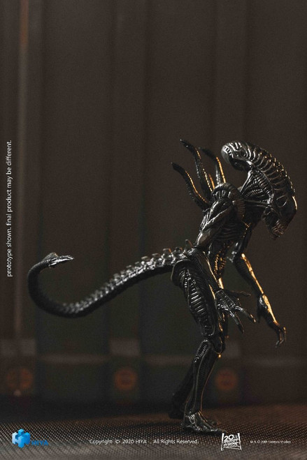AVPR XENO WARRIOR PX 1/18 SCALE FIGURE - Graphic