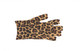 Leo Leopard Arm Sleeve