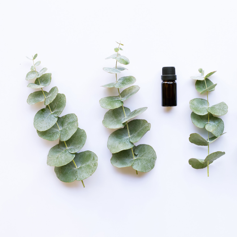 The Essentials of Topicals - Nature's Oil