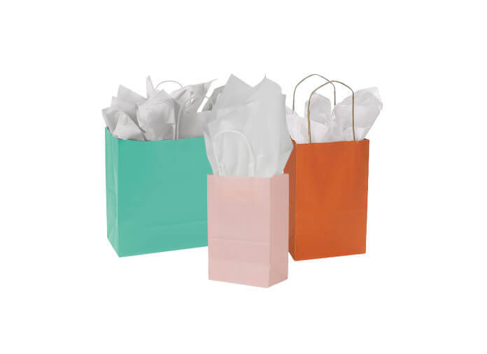 Retail Shopping Bags | Store Supply Warehouse