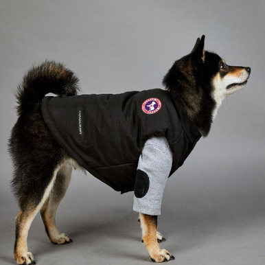 Canada Pooch Jacket - FITS LARGE DOGS